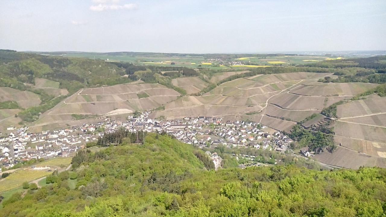 Von der Ahr hinauf zum Krausberg - Micha's Blog