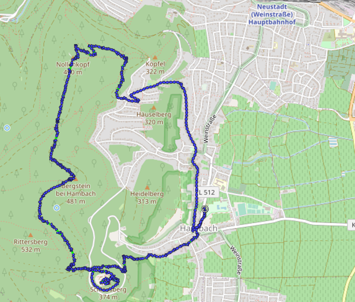 Rund um das Hambacher Schloss - Micha's Blog