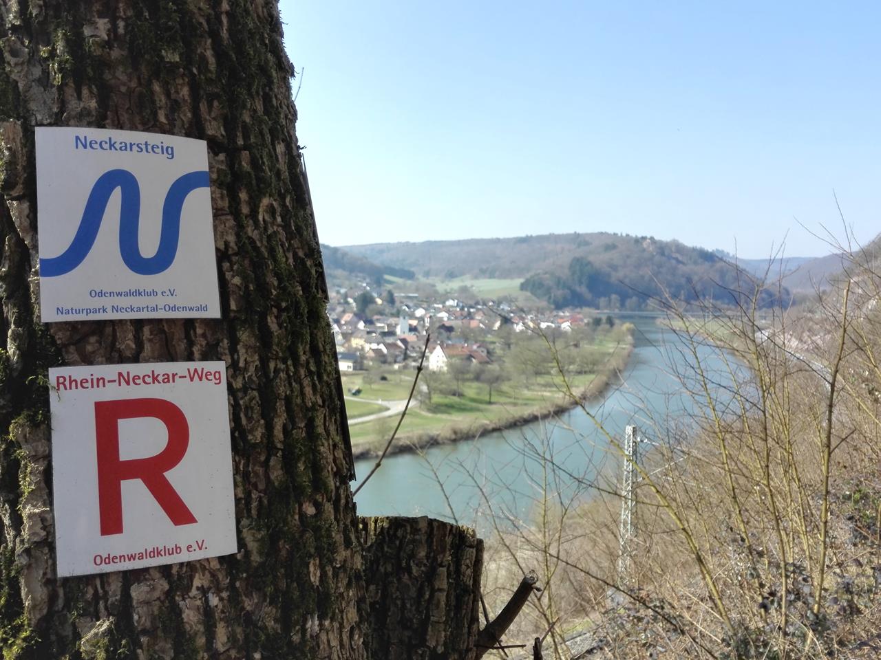 Neckarwanderung rund um Binau - Bloxi's Blog
