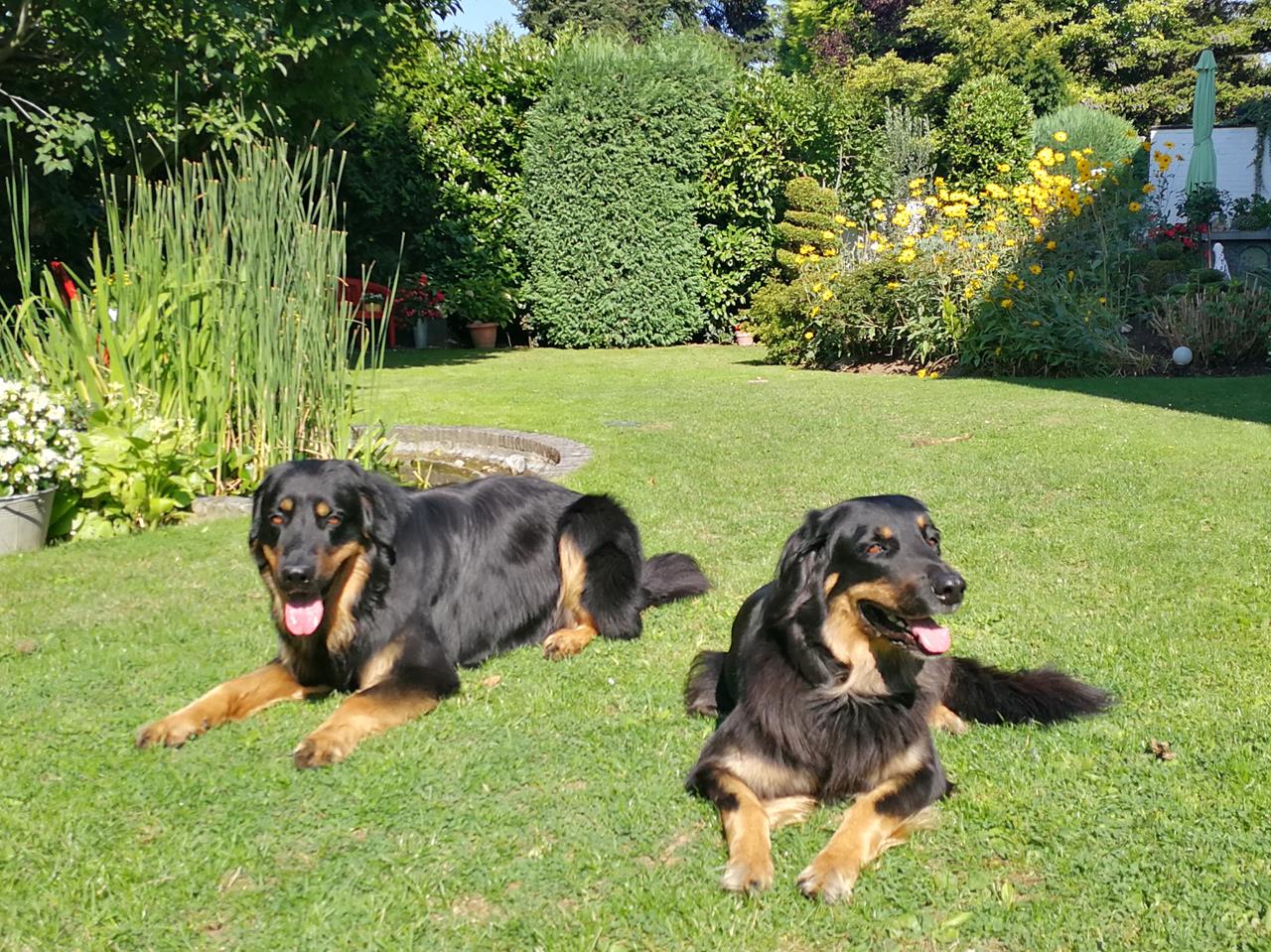 Ein Tag mit Sinok #2 - Micha's Blog