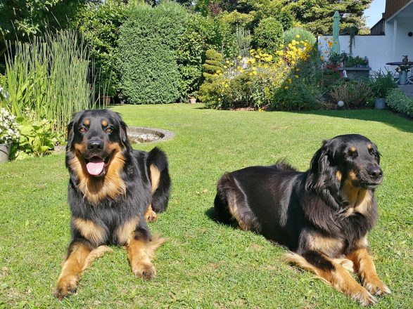 Ein Tag mit Sinok #2 - Micha's Blog