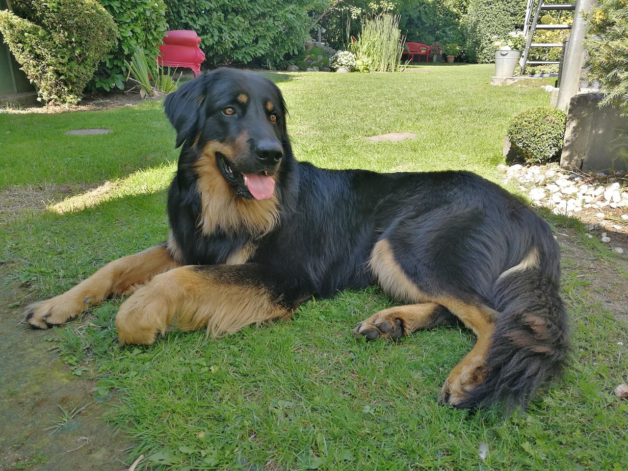 Ein Tag mit Sinok #2 - Micha's Blog