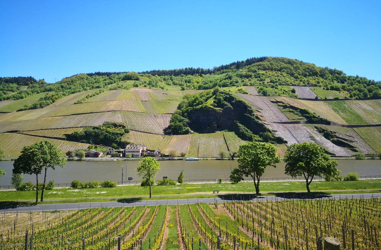 Moselschleife bei Minheim - Micha's Blog