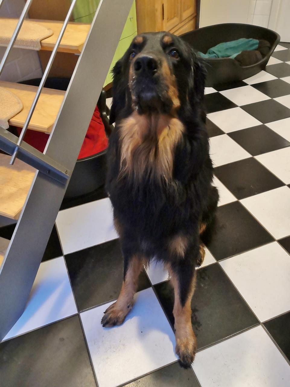 Ein Tag mit Sinok #3 - Micha's Blog