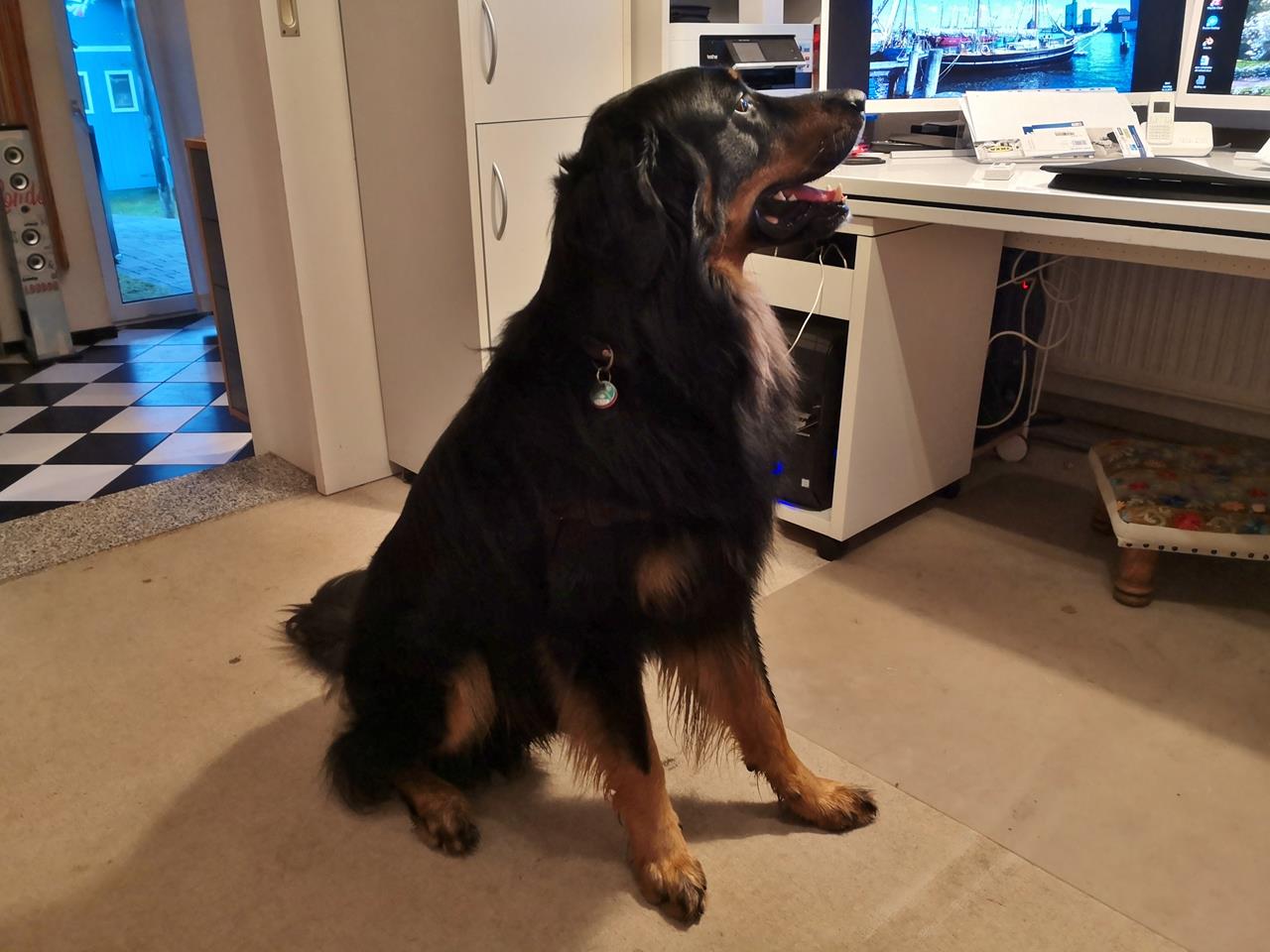 Ein Tag mit Sinok #3 - Micha's Blog